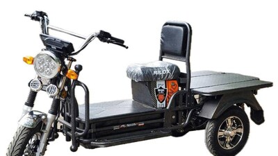 Rilox EV Launched All-New Electric Three-Wheeler Bijli Trio At Rs 1.35 ...