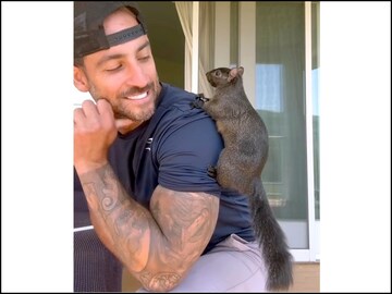 'Jealousy': Celebrity Squirrel Peanut's Owners Share New Theories On ...