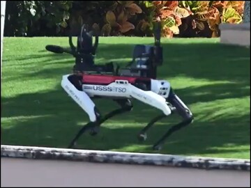 US: 'Robotic Dogs' Deployed Outside Trump's Mar-A-Lago Residence After ...
