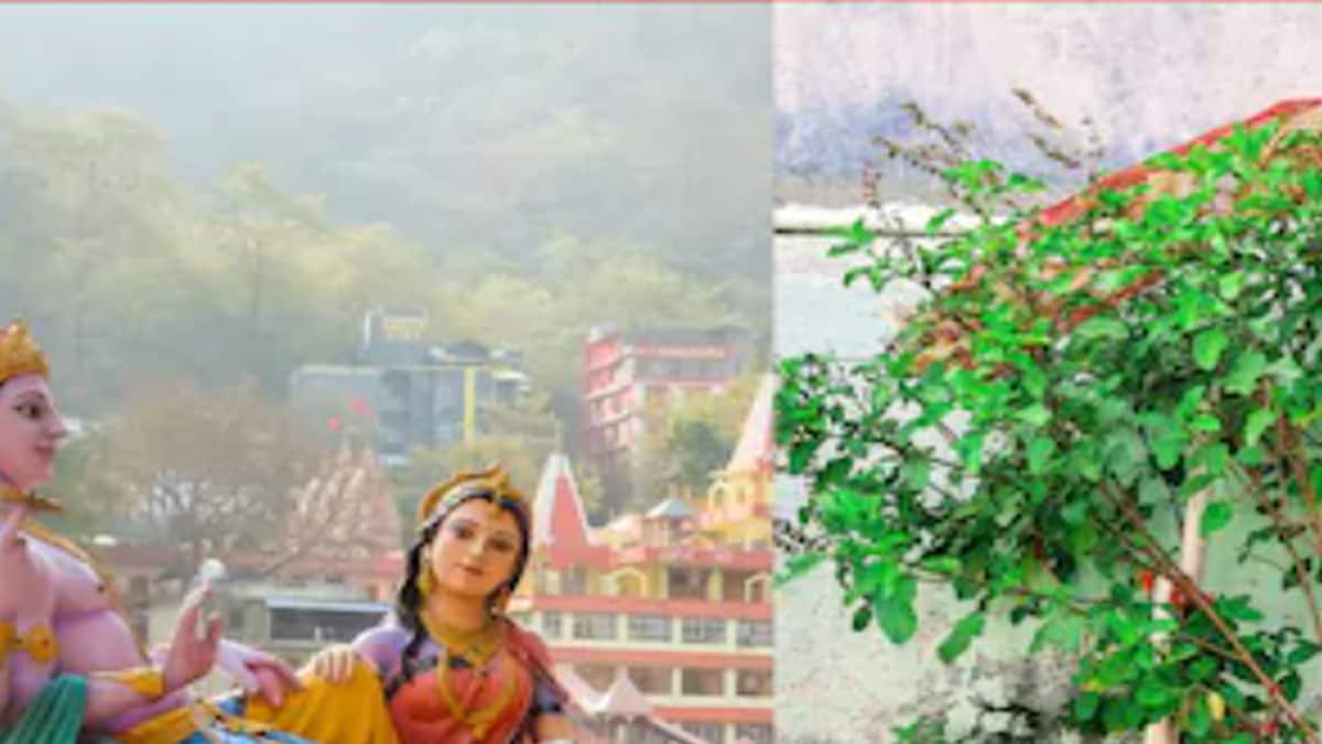 Dev Uthani Ekadashi 2024: Tulsi Marriage, Fast And Remedies To Follow ...