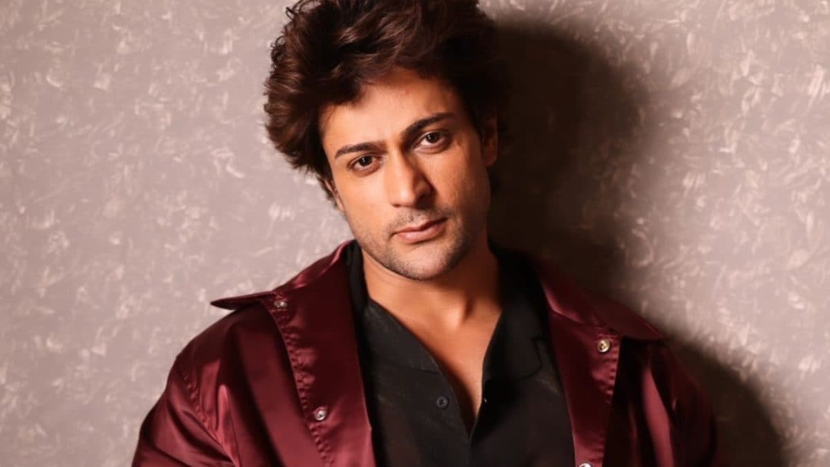 Shalin Bhanot Birthday: His Journey, Top 10 TV Shows, Web Series, And ...