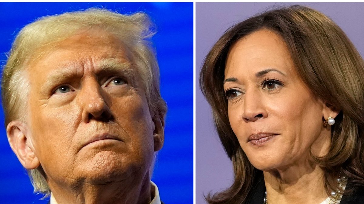US Election 2024 Results: The Key States Trump, Harris Must Win In Race ...