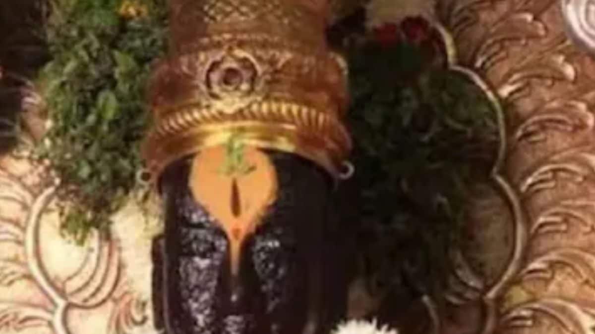 Kartiki Ekadashi 2024: 24-hour Darshan Of Lord Vitthala And Rukmini ...