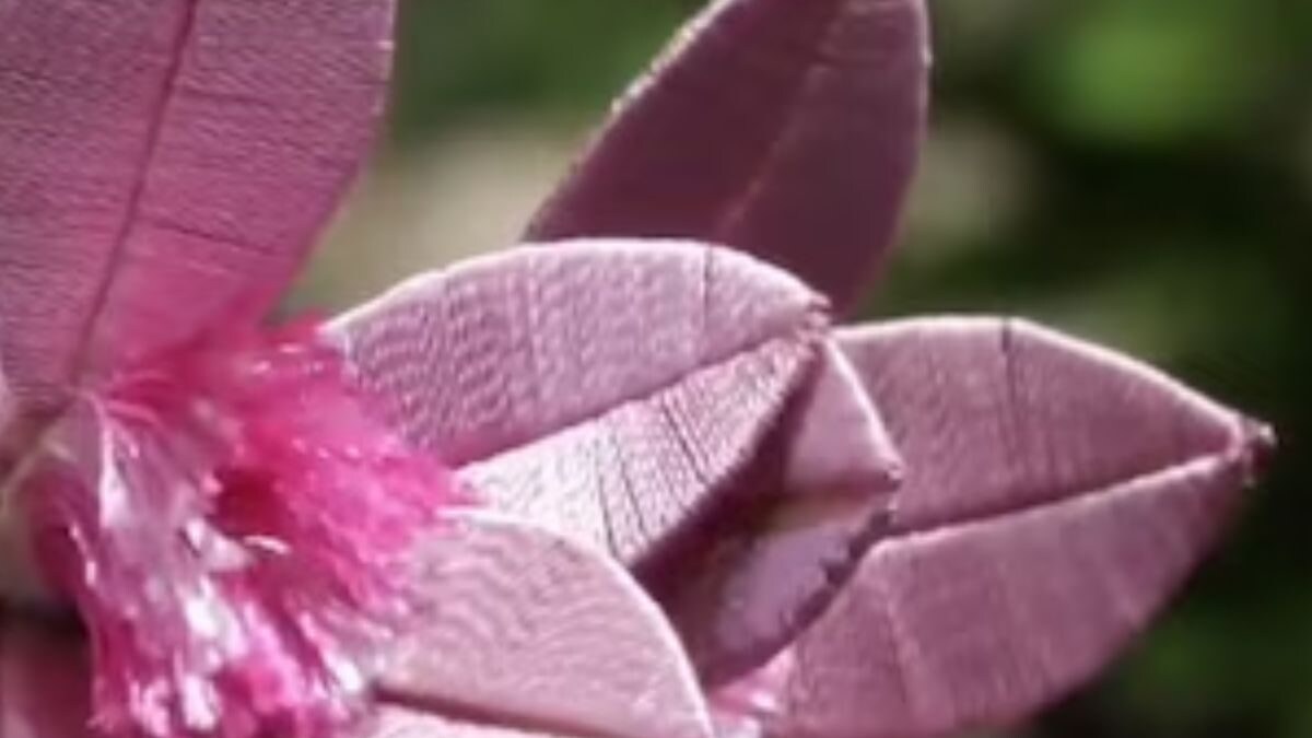 Why Ooty’s Thread Garden Is A Top Tourist Attraction - News18