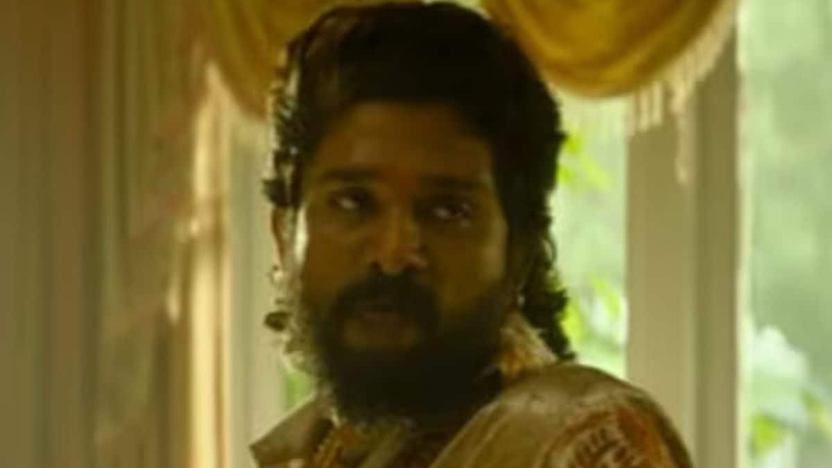 Pushpa 2 Tickets Priced Up To Rs 1800 In Delhi; Telangana to Host ...