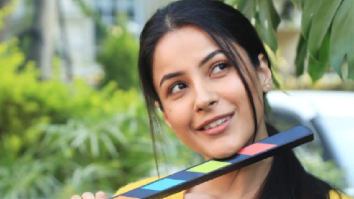 Shehnaaz Gill Is 'Proud And Happy' To Announce New Project 'With Dream ...