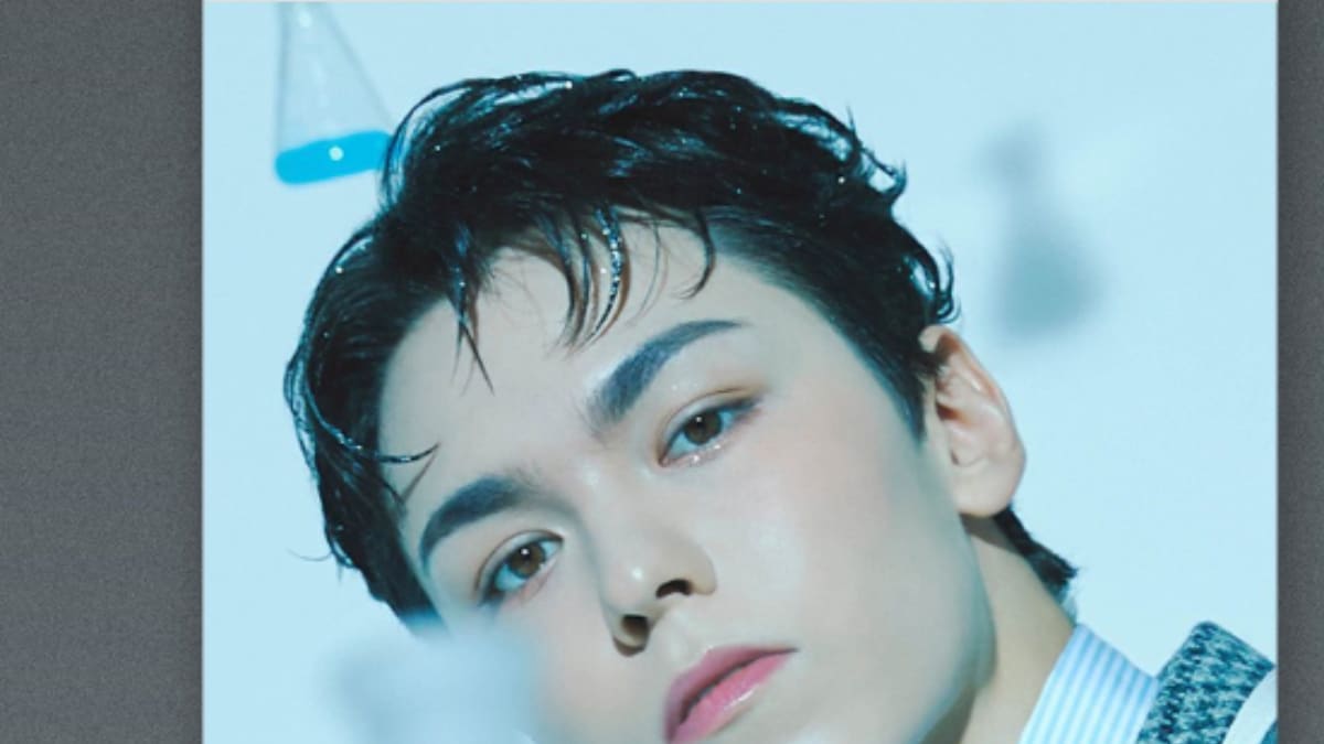 Seventeen Star Vernon’s Picture With Anonymous Girl Sparks Dating ...