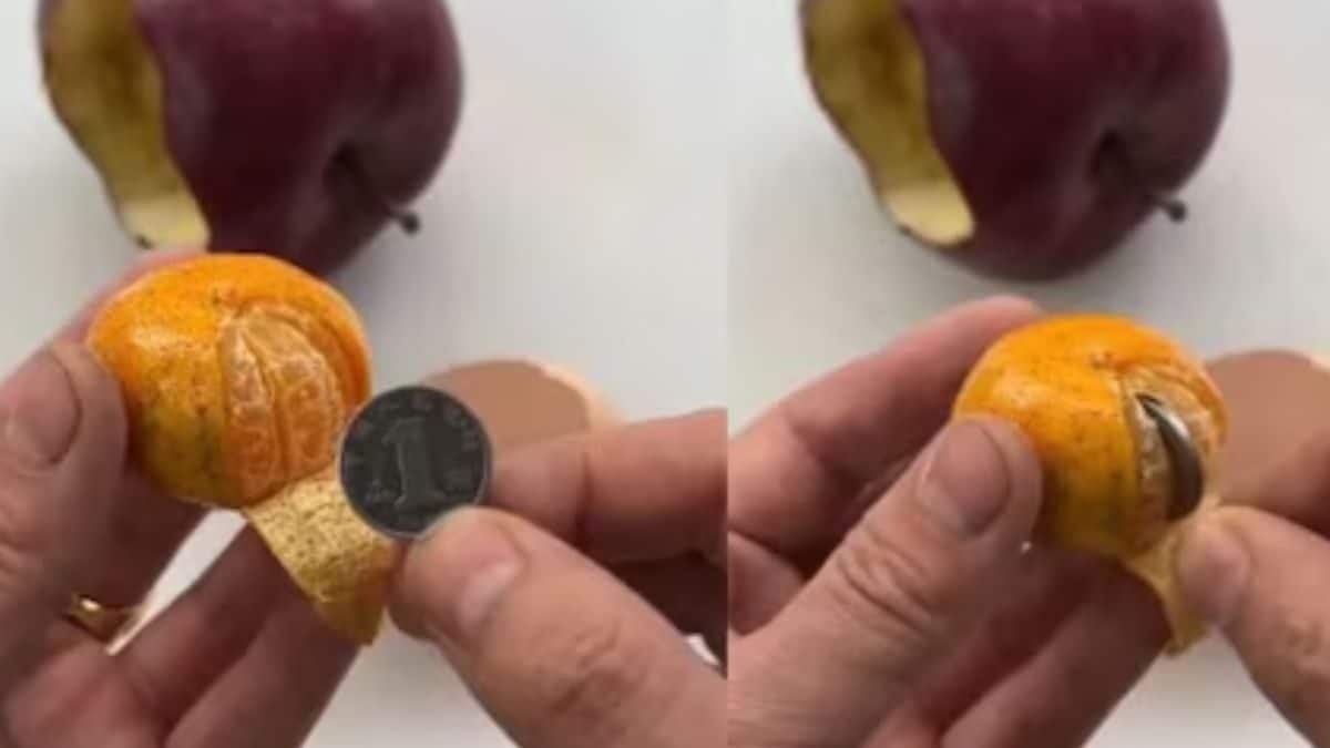 This Hilarious Trick Of Hiding Coin Inside An Orange Leaves Internet In ...