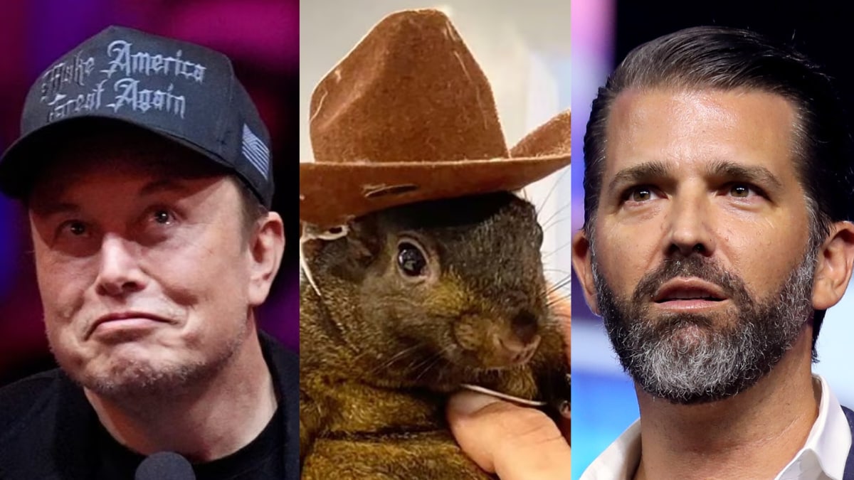 'Heartless': Elon Musk, Trump Jr Slam Biden Administration Over ...