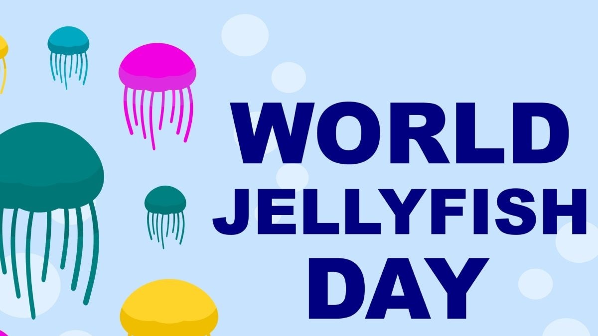 World Jellyfish Day 2024: History, Significance And Interesting Facts ...