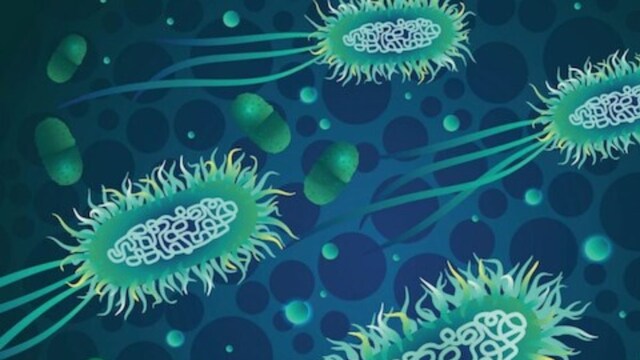 What Do We Know About The Flesh-Eating Bacteria That Is Spreading In ...