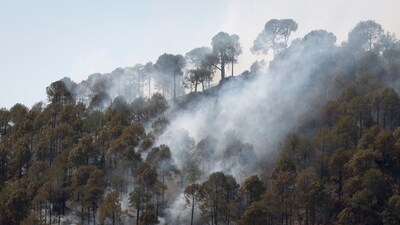 Uttarakhand Sees Highest Number Of Forest Fires, Alarming Spike In ...