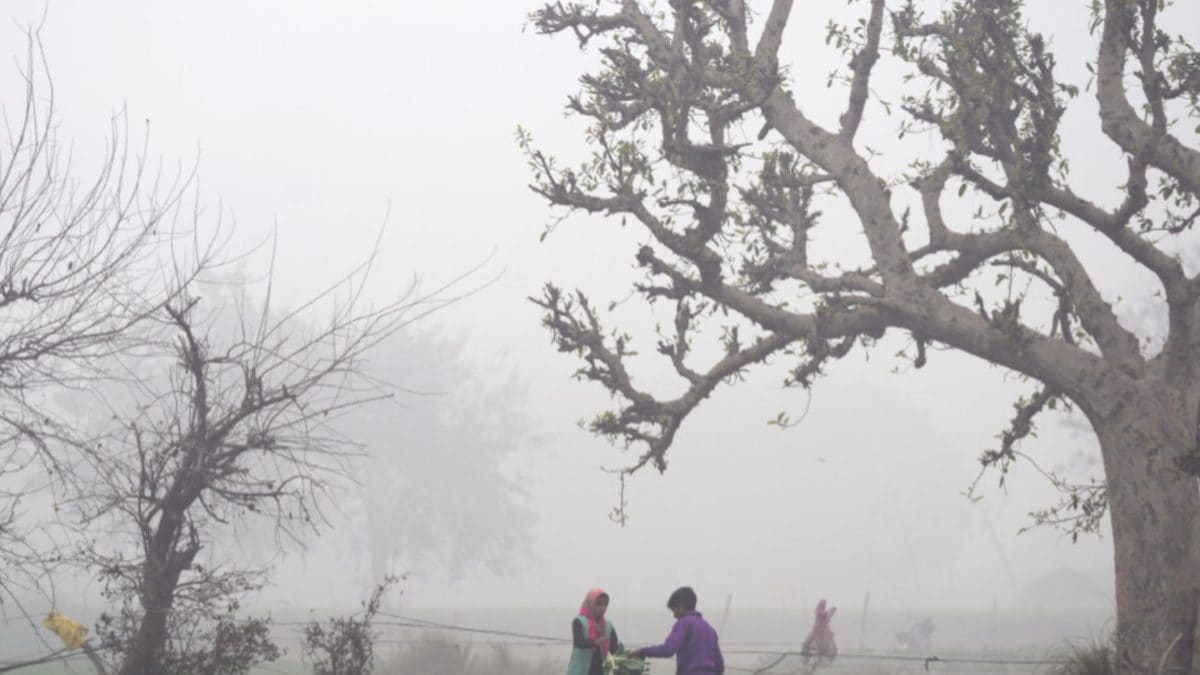 Dense Fog Engulfs Parts Of Delhi, Minimum Temperature Settles At 10.3°C | India News - News18