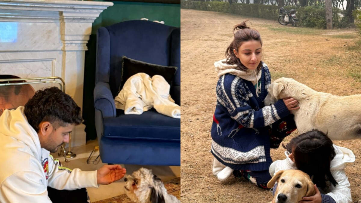 Soha Ali Khan’s Cosy ‘Dog Day Afternoon’ With Family Is Too Cute To ...