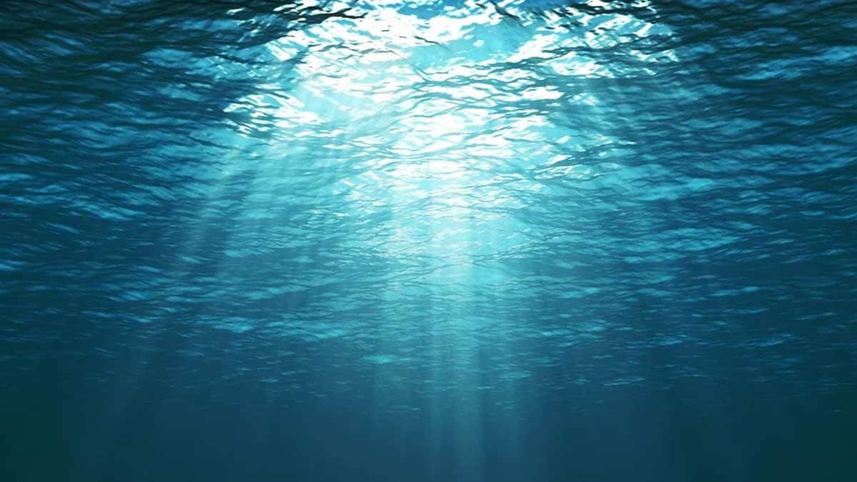 Scientists Discover Alien-Like Predator 'Darkness' In Ocean | Viral ...