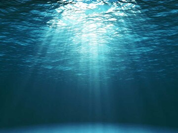 Scientists Discover Alien-Like Predator 'Darkness' In Ocean - News18