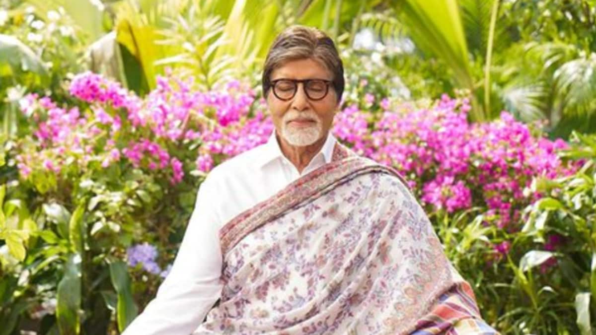 DYK Amitabh Bachchan's Grandchildren Taught Him The Meaning Of ...