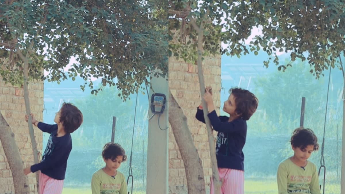 Meet Registani Ladkiyan, Internet's Latest Sensation Delivering ‘Life ...