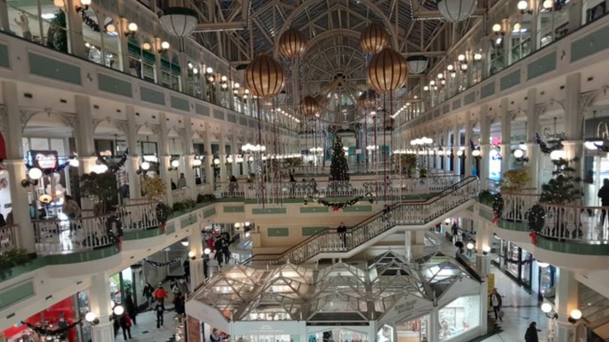 'Better Than Ever': Internet On Notre Dame Cathedral Reopening After 5 ...