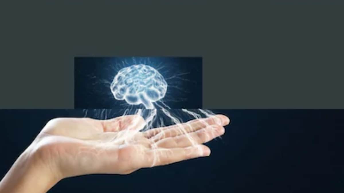 Lab-Grown Mini Brains Not Only Survived In Space But Grew Healthier ...