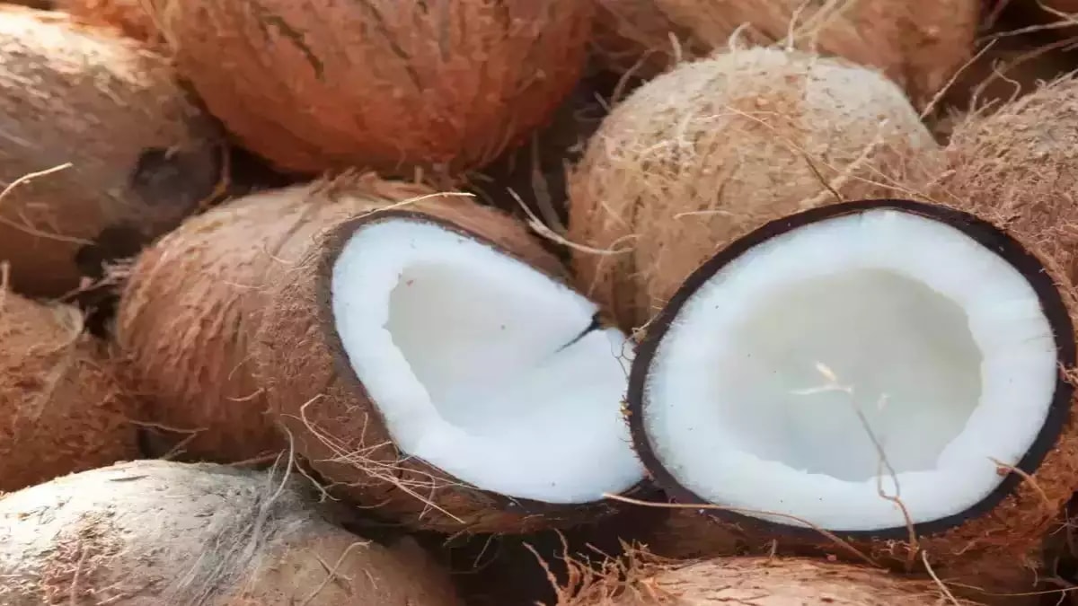 Centre Hikes Copra MSP By Up To Rs 420 To Rs 12,100 Per Quintal For ...