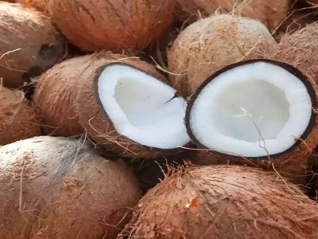 Centre Hikes Copra MSP By Up To Rs 420 To Rs 12,100 Per Quintal For ...