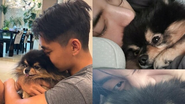 BTS: V Aka Kim Taehyung's Dog Yeontan Passes Away, Winter Ahead Singer ...