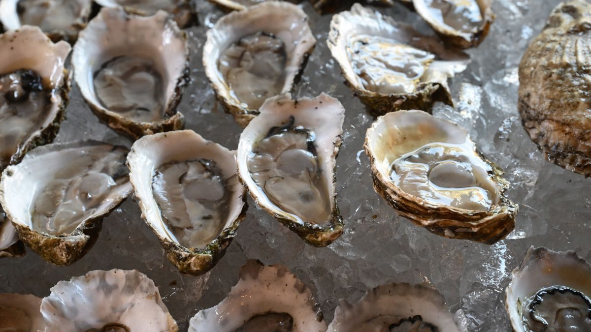 Let's Talk Sex | The Science Behind Aphrodisiacs: Exploring Their ...