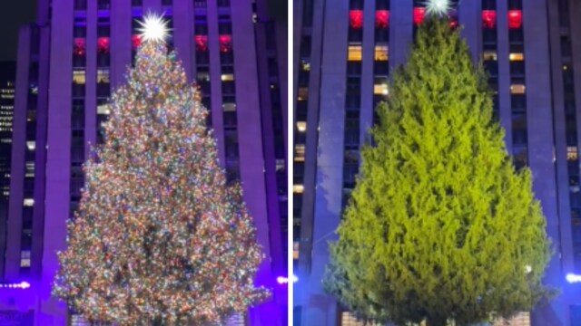 Who Started The Christmas Tree Tradition? History, Symbolism, Trivia ...