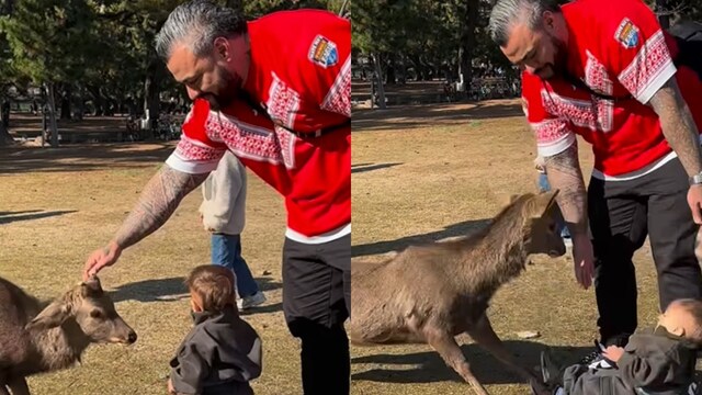 Child Knocked Over By Deer At Japan’s Park Sparks Debate: ‘Dumb ...
