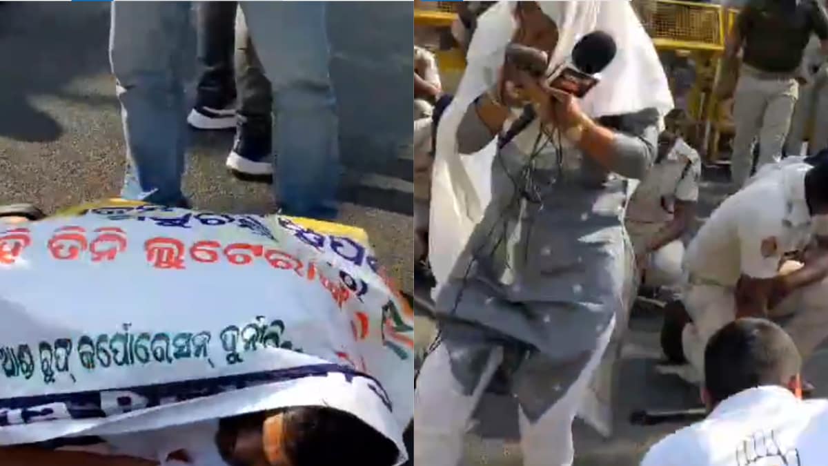 Bees Attack Youth Congress Activists During Protest In Bhubaneswar ...