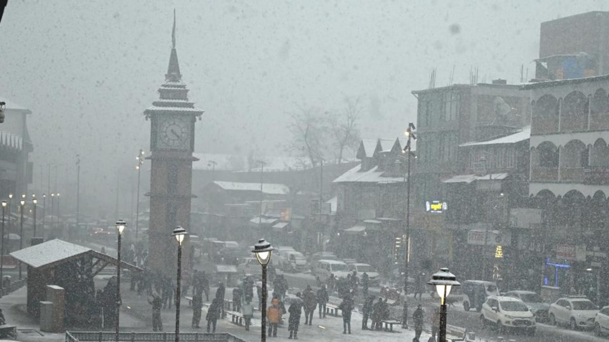Watch: Snowfall Turns Srinagar Into A Surreal Winter Wonderland | India ...