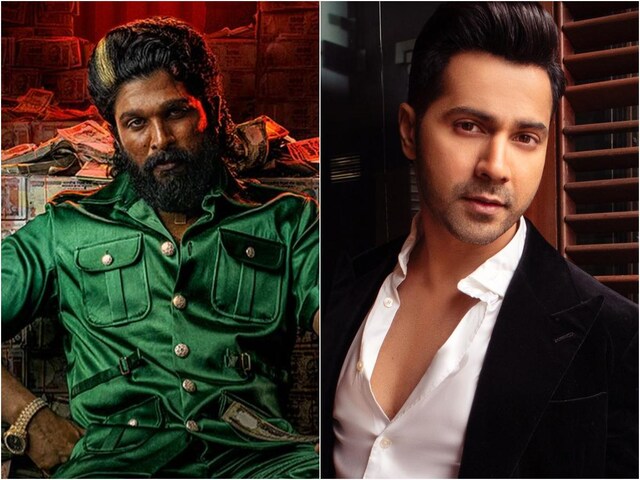 Varun Dhawan Defends Allu Arjun Over Pushpa 2 Stampede Tragedy: ‘Can’t Put Blame On Just One ...
