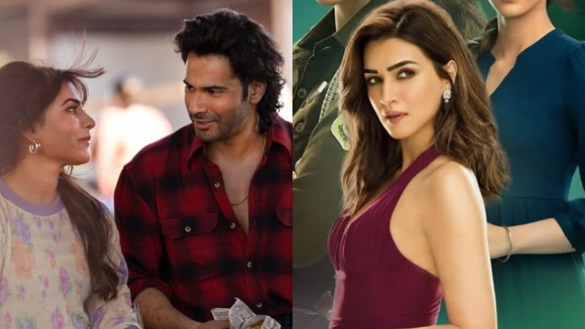 Kriti Sanon To Varun Dhawan: 2024 Was A Year Of Stellar OTT Debuts By A-List Bollywood Stars ...