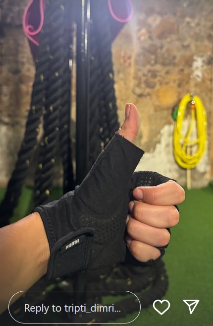 Triptii Dimri Shares Picture From Her 'Last Workday Of The Year ...