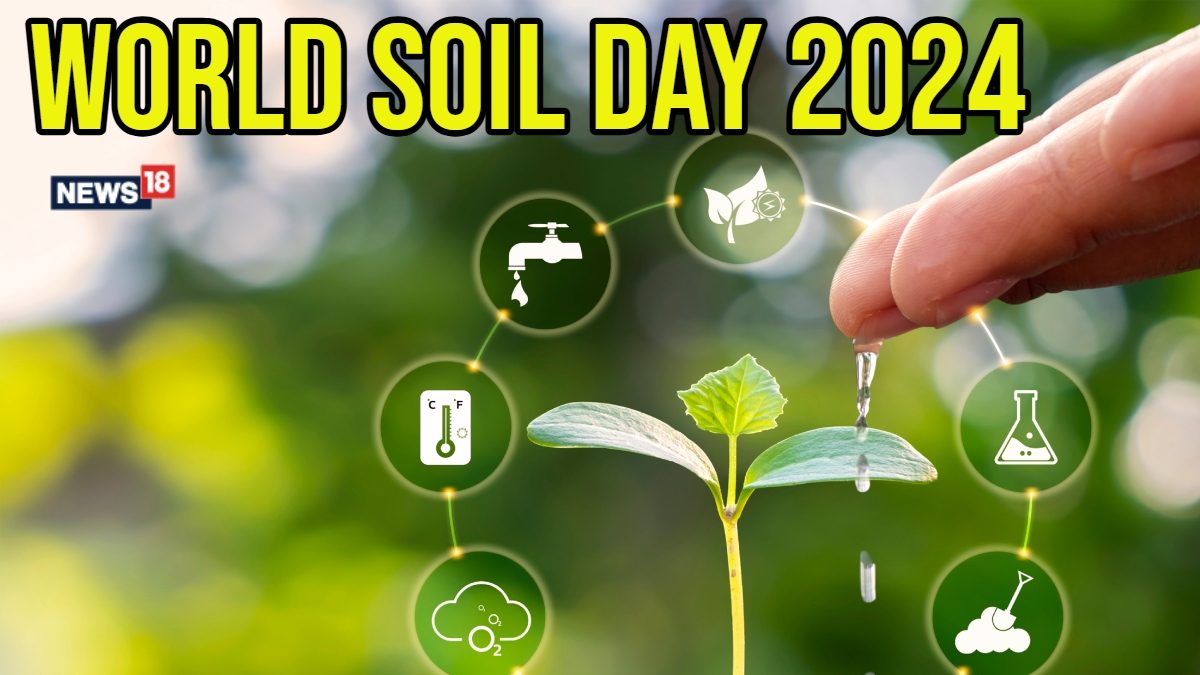 World Soil Day 2024: Theme, History, And Quotes To Celebrate Soil's ...