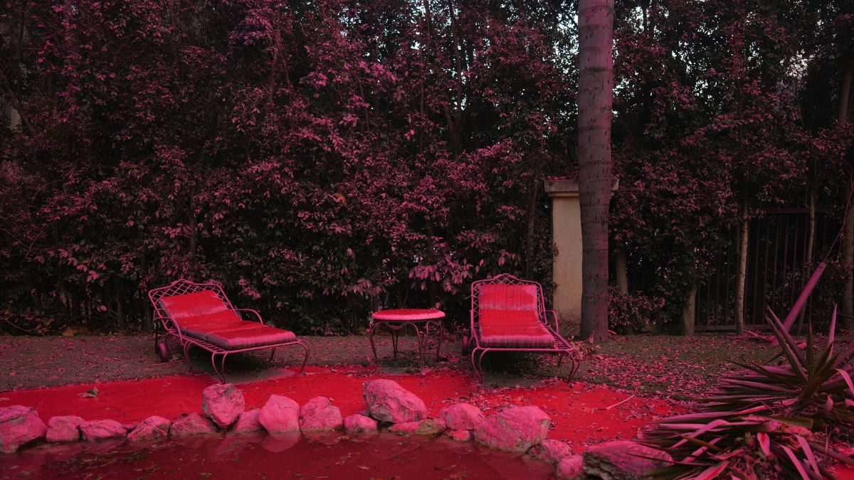 What Is Pink Fire Retardant, Being Used To Contain LA Wildfires, How ...