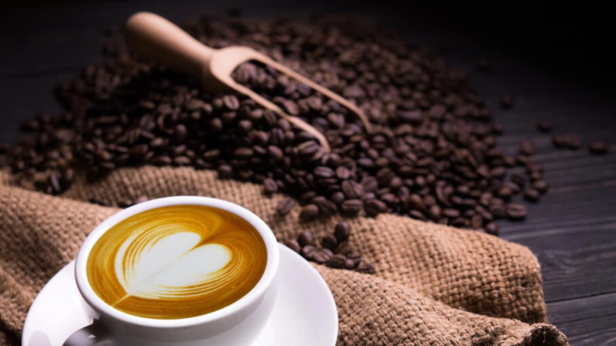 Coffee Connoisseur's Guide: 5 Essential Additions For A More Delectable ...