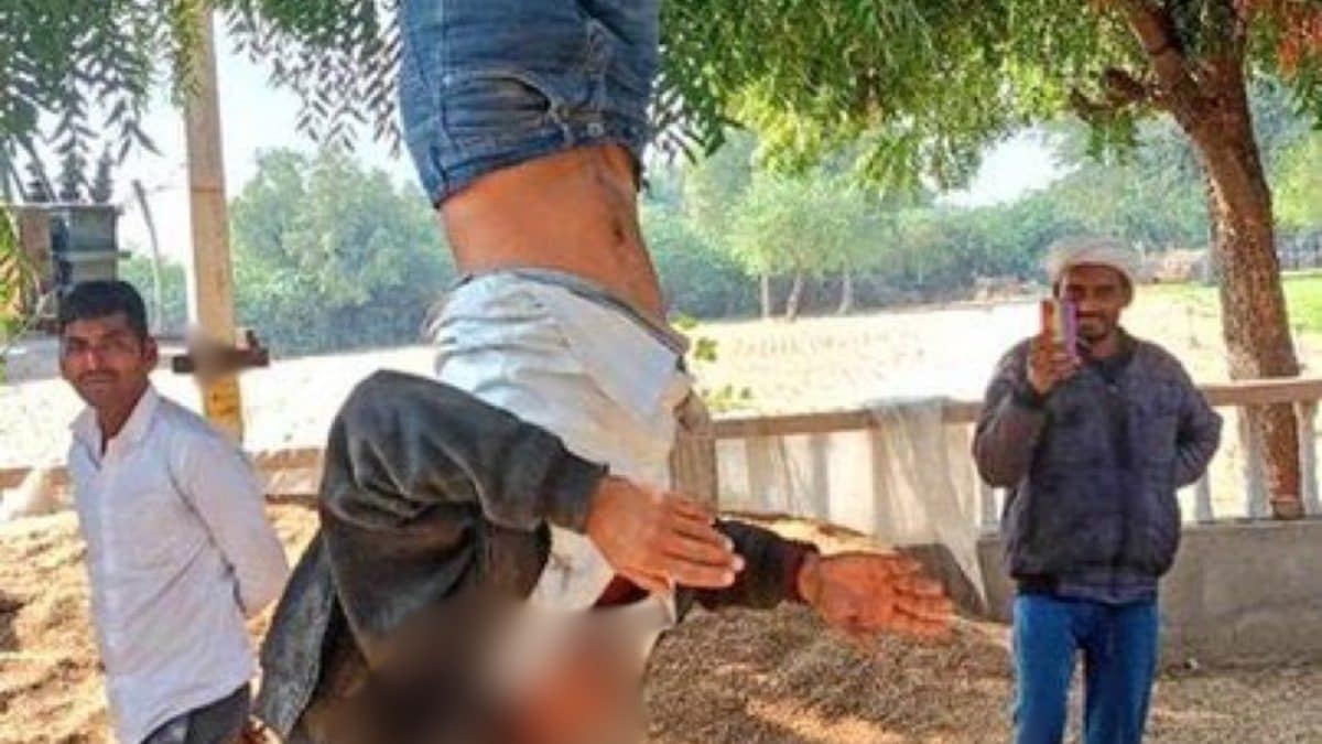 Dalit Man Hung Upside Down From A Tree In Rajasthan, Thrashed Over ...
