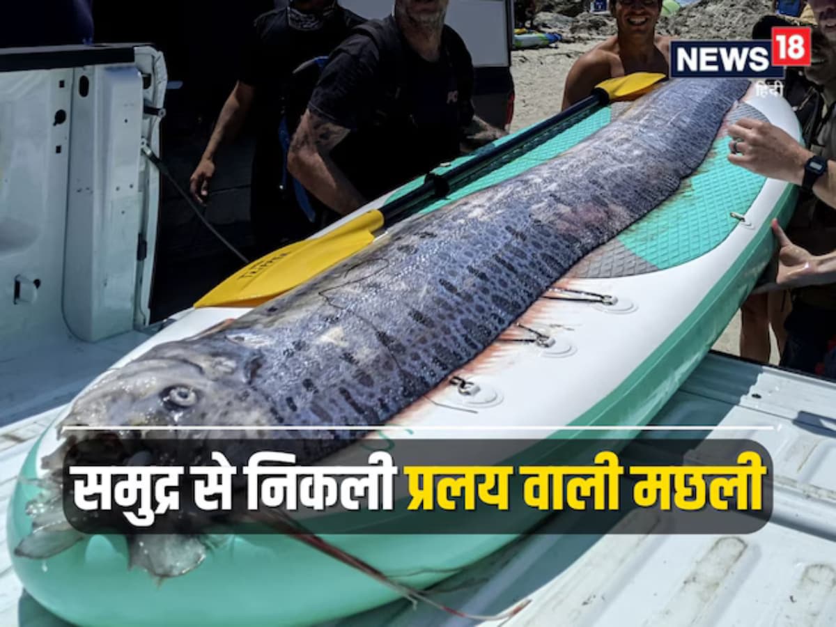 Oaxaca Fish Daily Oaxaca Fishing Reports (March 2025)
