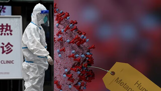 HMPV Virus Updates: Health Minister Nadda Says HMPV Not A New Virus ...