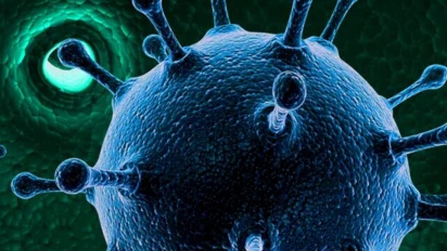 What Is HMVP Virus-China's Recent Pandemic-Like Outbreak? Explained ...