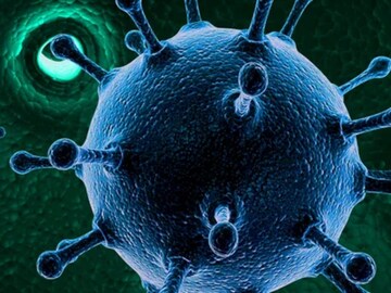 What Is HMVP Virus-China's Recent Pandemic-Like Outbreak? Explained - News18