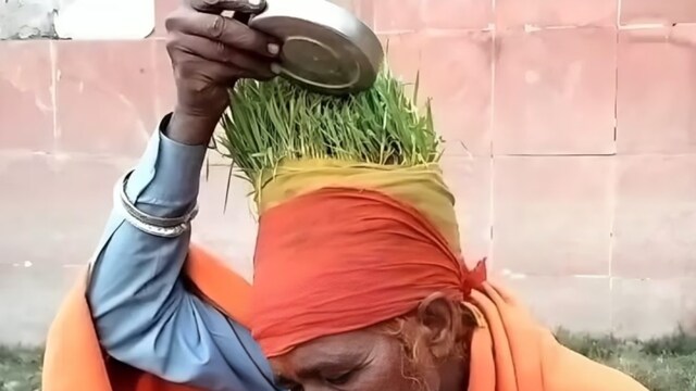 Maha Kumbh 2025: From The Baba With Thorns To The Sadhu Growing Grains ...