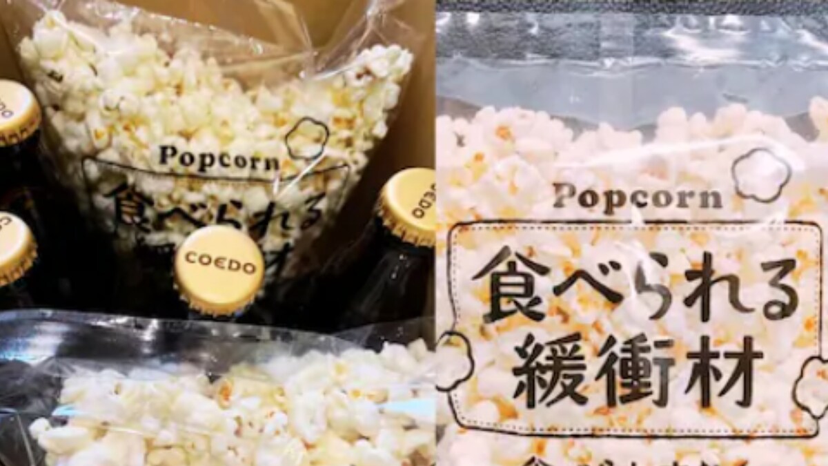 Eat It Or Stuff Your Cushions With It: This Company Is Making 2-in-1 ...