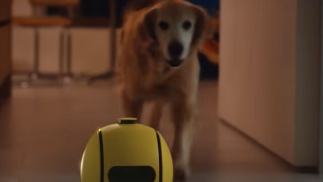 Samsung Ballie Home Robot To Arrive In 2025: Everything We Know | Tech ...