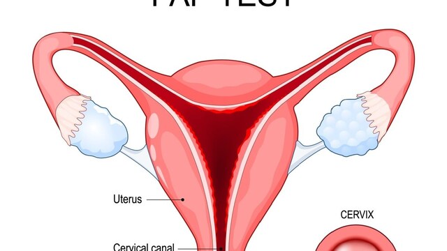 Why Regular Pap Smears And Hpv Tests Are Crucial For Womens Health Health And Fitness News
