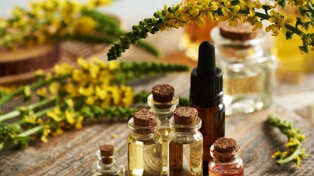 The Magic of Floral Essential Oils in Skincare, Haircare, and Perfumery ...