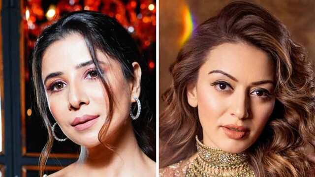 Who Is Hansika Motwani's Sister-in-law Muskan Nancy James? The Actress ...