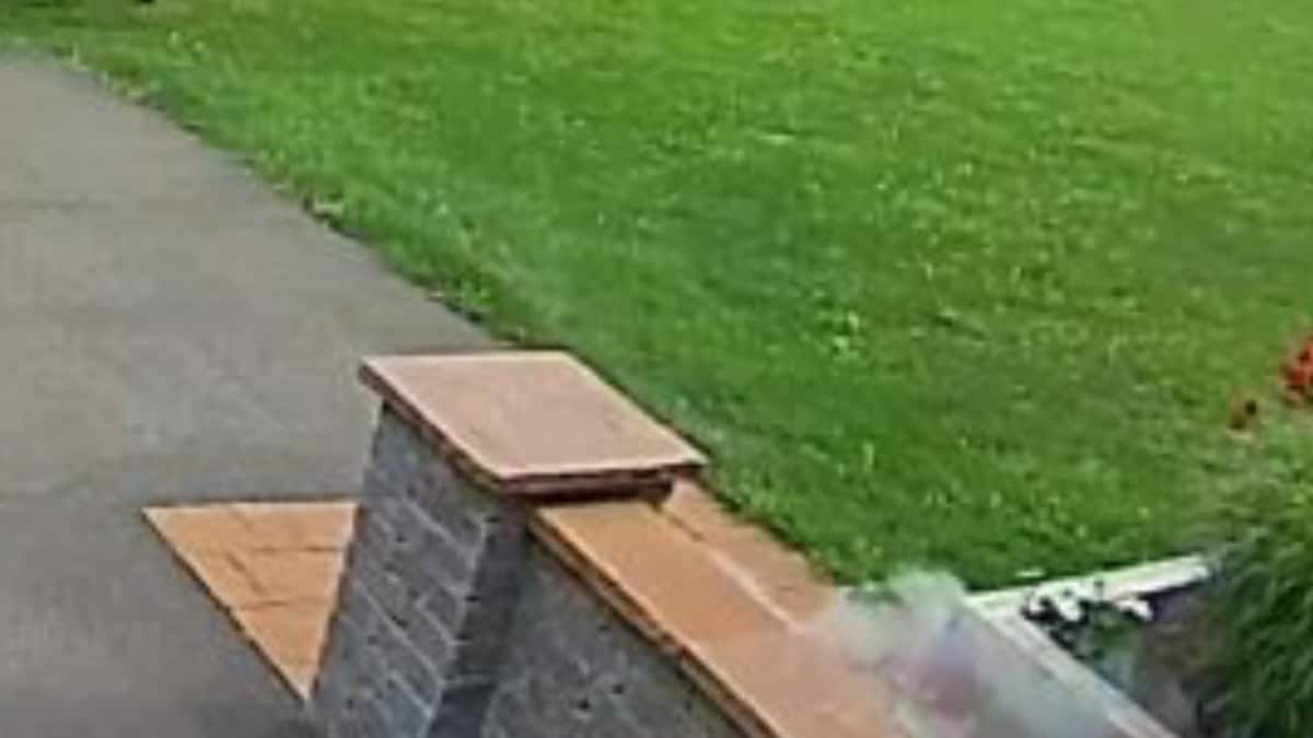 Doorbell Camera Captures First-Ever Sound Of ‘Spectacular’ Meteorite ...